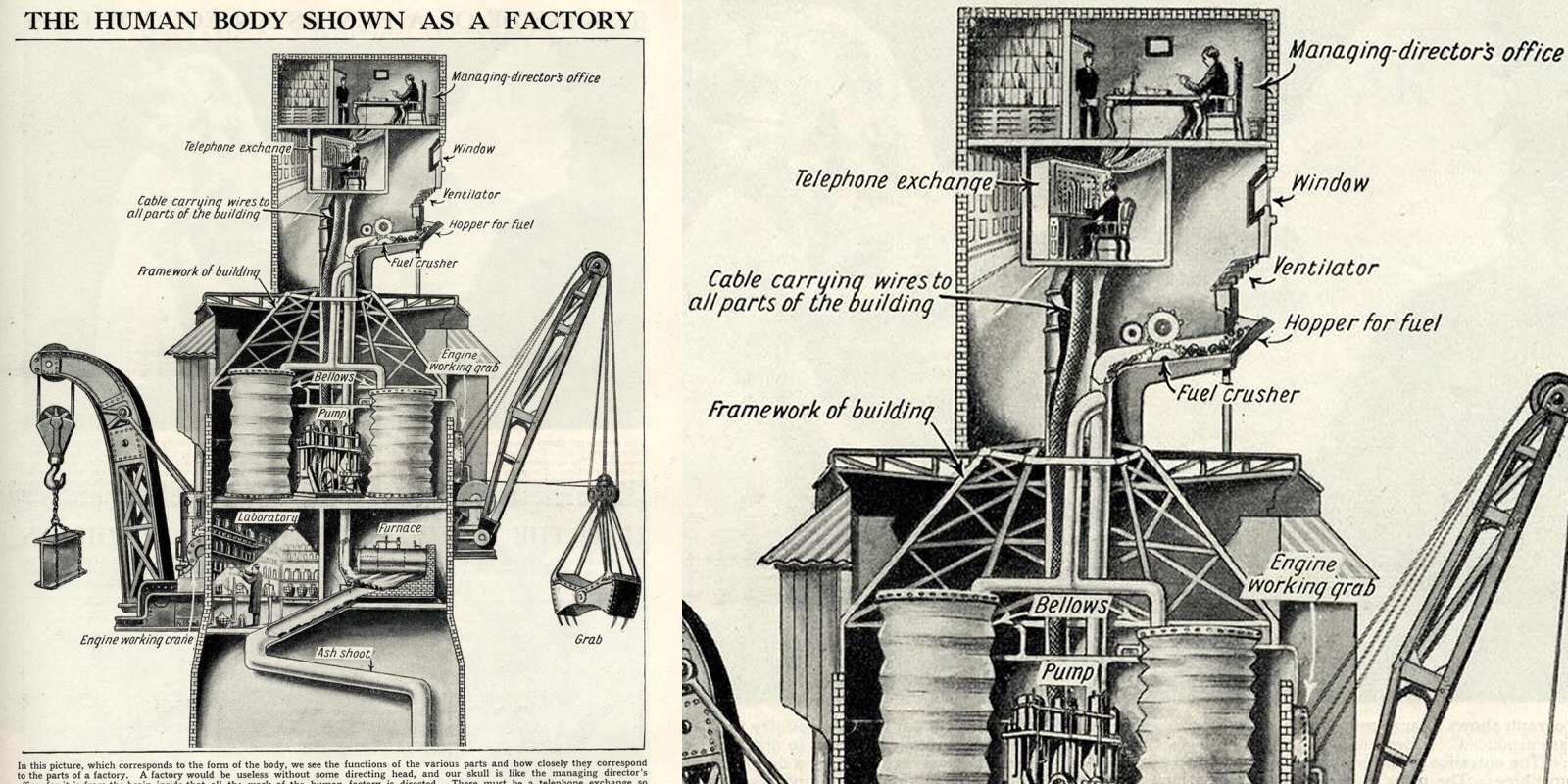 Human Body As Factory – ekoshapu