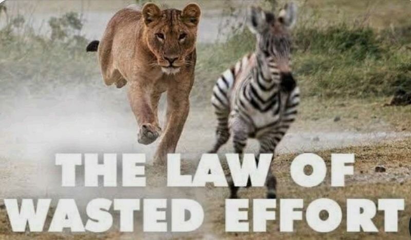 The Law of Wasted Effort – ekoshapu